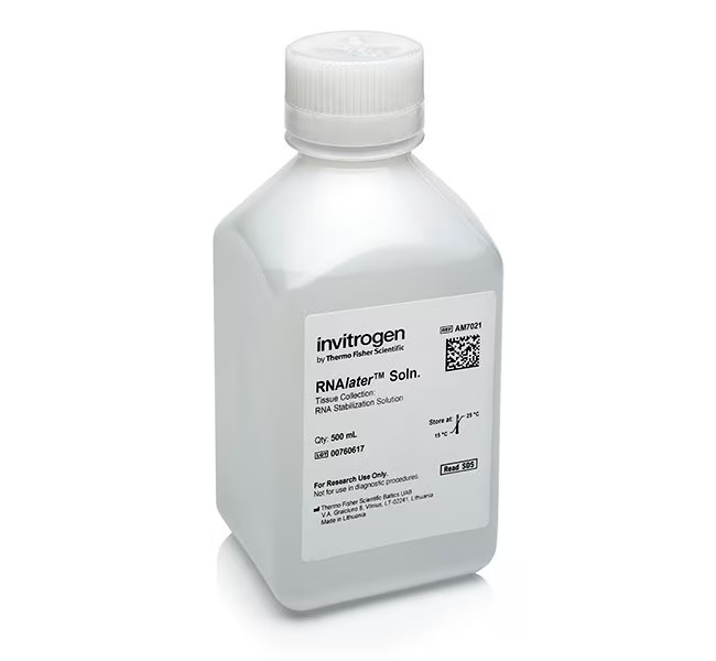Invitrogen™ Rnalater™ Stabilization Solution, 500Ml | LabMart Limited
